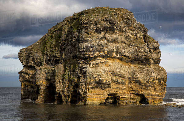 Birds landing on a large, rugged rock formation in the water; South ...