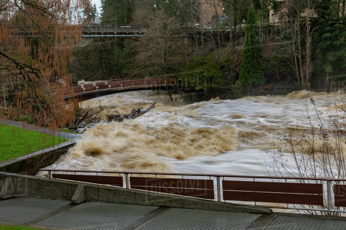 Flooding waters at the Tumwater Falls of the Deschutes River; Olympia ...