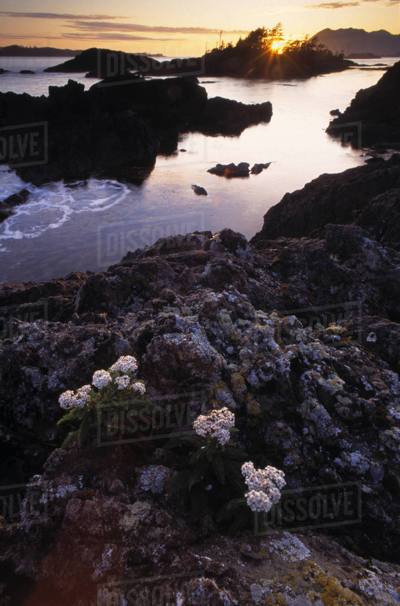 Queen Charlotte Islands - Royalty-free Stock Photo | Dissolve