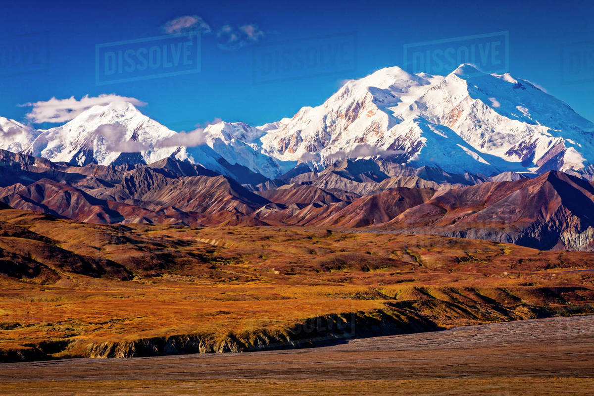 Close-up of Mount Denali (McKinley) and Muldrow Glacier, viewed from ...