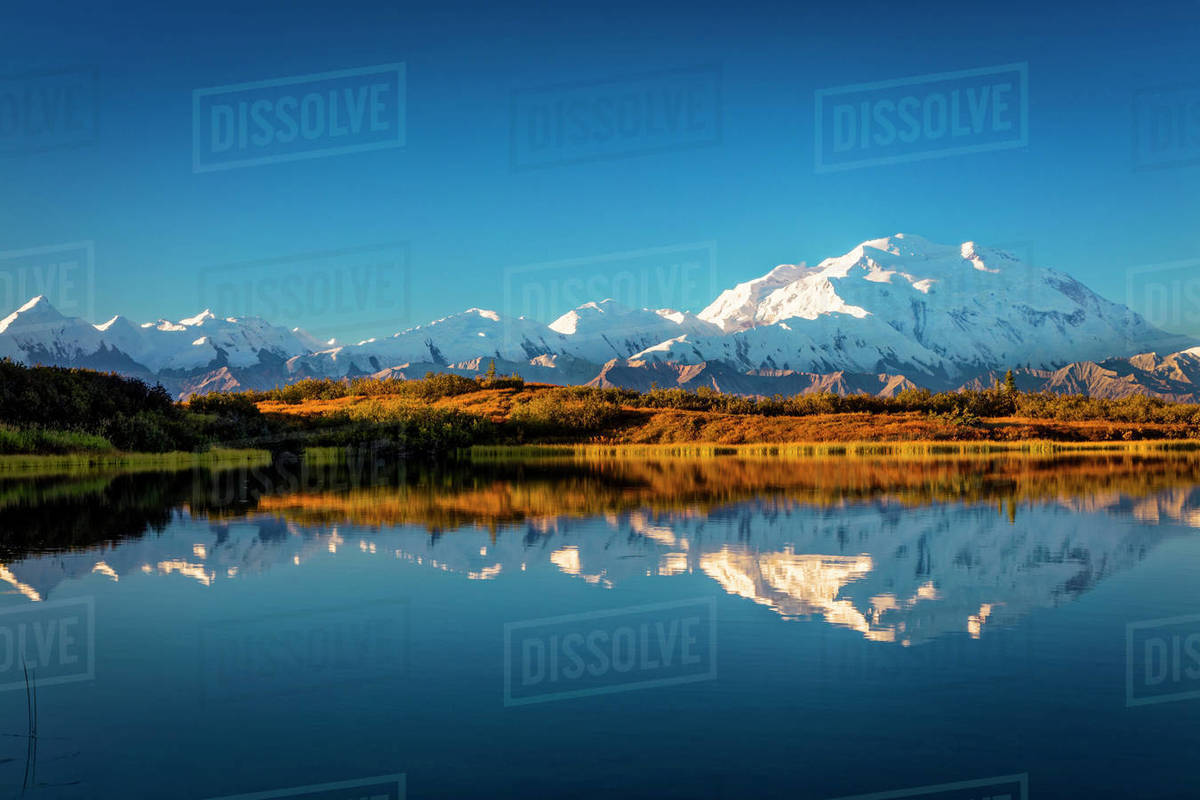 Perfect mirrored reflection of Mount Denali (McKinley) on the calm ...