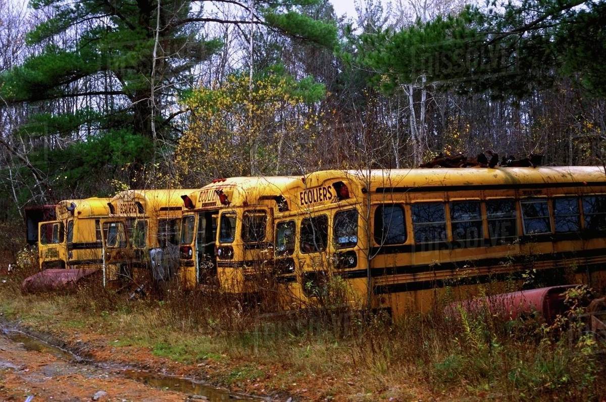 Abandoned School Buses - Royalty-free Stock Photo | Dissolve