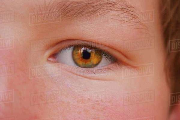 Closeup Of A Hazel Eye Color - Royalty-free Stock Photo | Dissolve