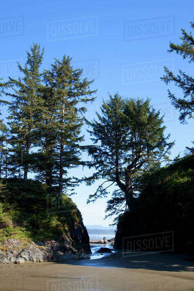 Scenery At Long Beach In Pacific Rim National Park Near Tofino; British ...