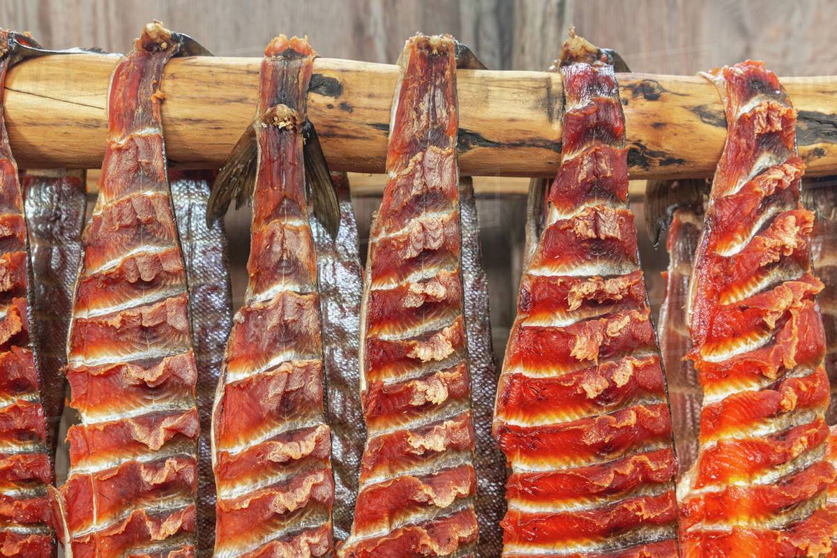 Close-up pink salmon hanging on a drying rack in a smoke house, Summer ...