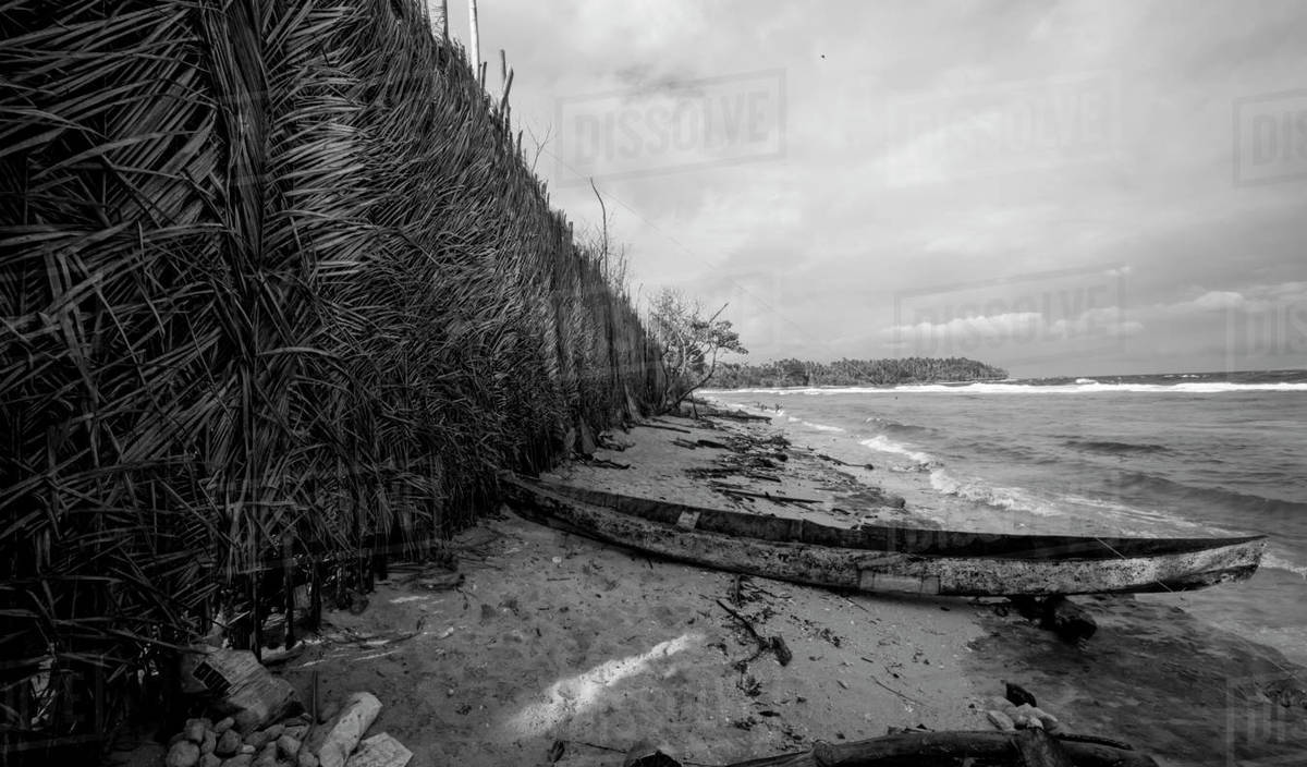 A beached canoe and a wall of woven sago palms (Cycas revoluta) built ...