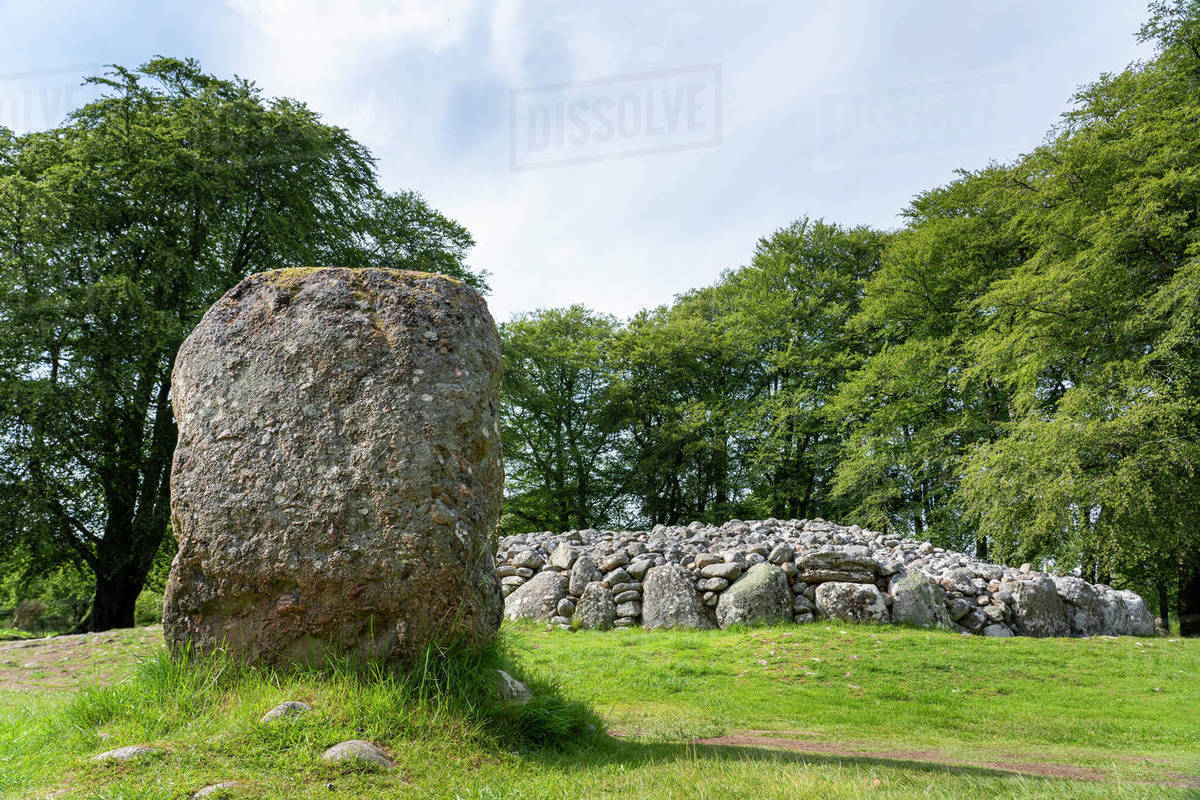 A monolith stands near the Clava Cairns burial site outside Inverness ...