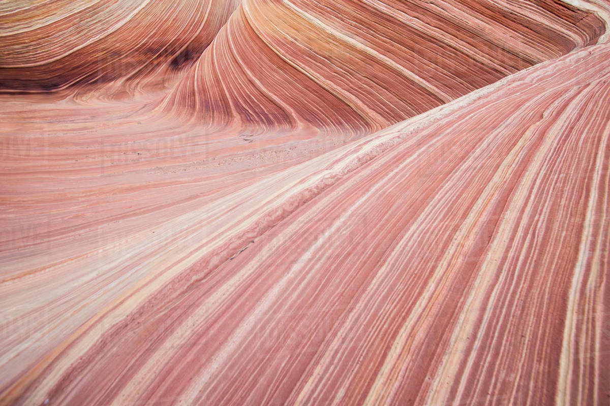 The Wave sandstone rock formation, located in Coyote Buttes North ...
