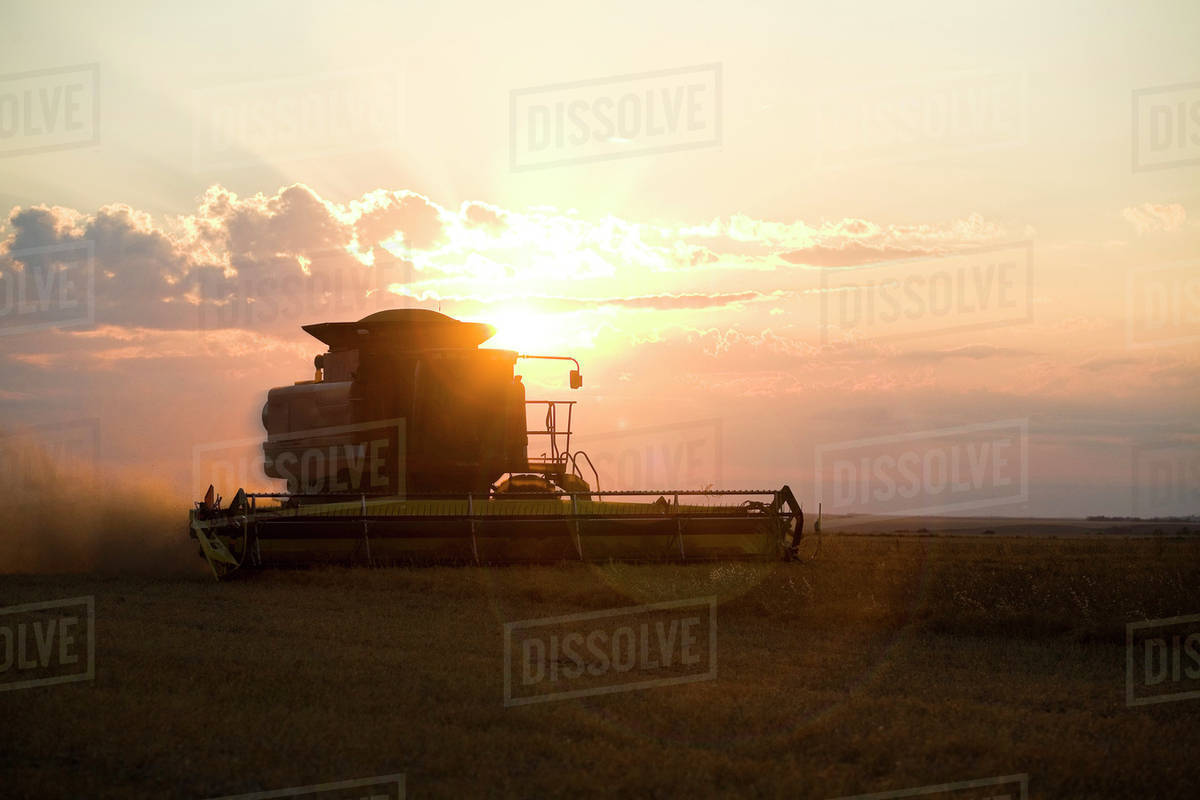 Silhouette Of Working Combine At Sunset, Saskatchewan - Royalty-free ...