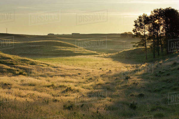 Pasture Land, Alberta, Canada - Stock Photo - Dissolve