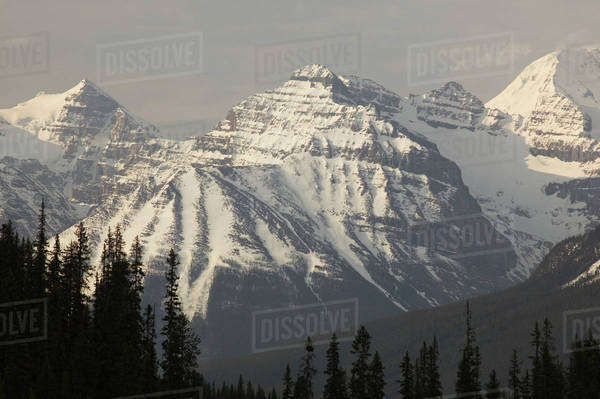 Temple Mountain, Banff National Park, Alberta, Canada - Stock Photo ...
