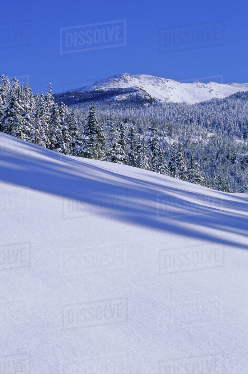 Snowfield And Mountain On Sunny Day, Whistler, Bc - Royalty-free Stock ...