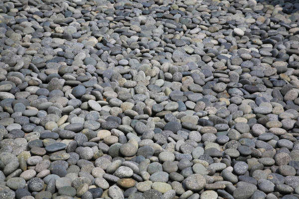 Smooth Rocks In A Japanese Rock Garden At A Residential Home; Laval ...