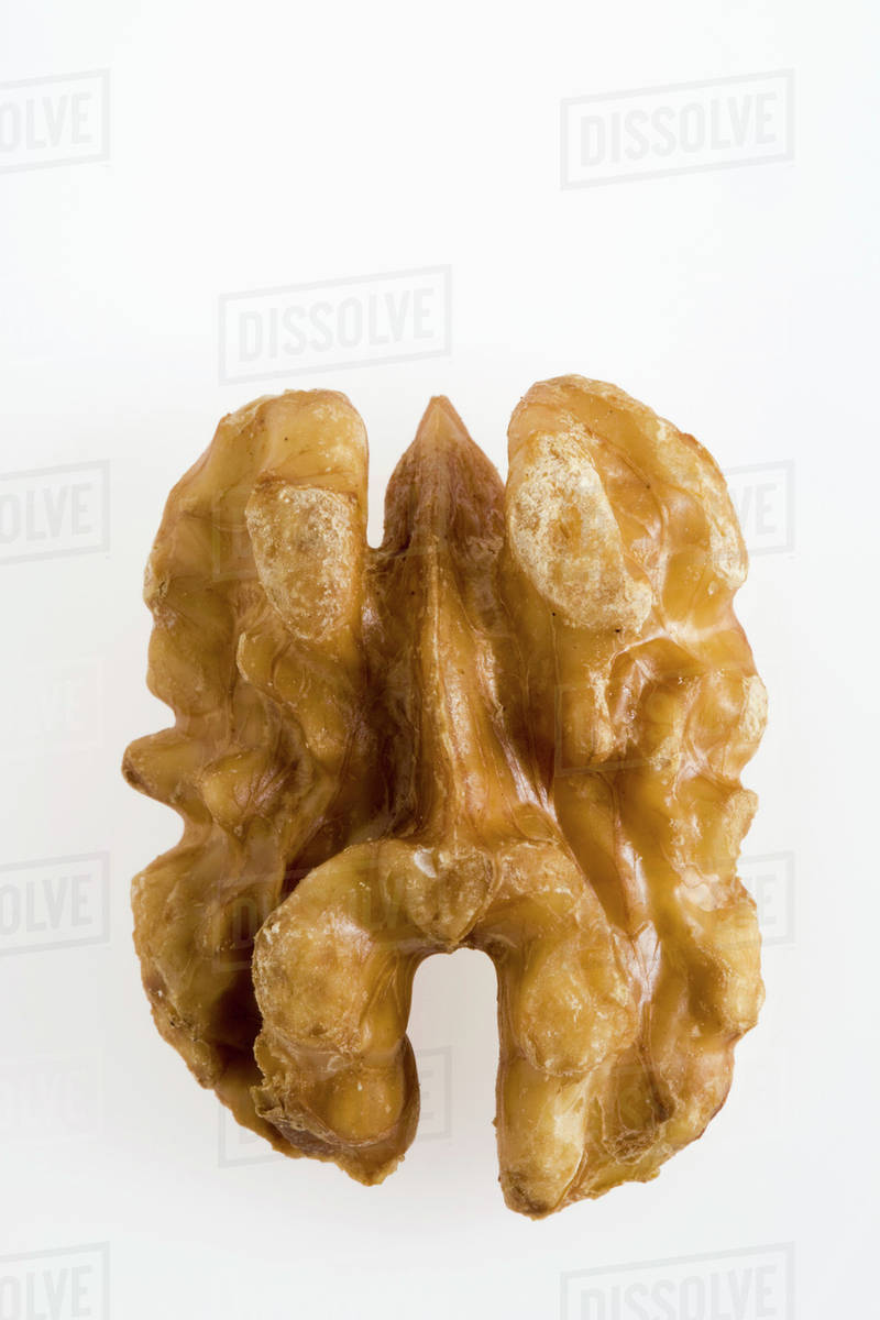 Close Up Of Half Of A Walnut On A White Background; Calgary, Alberta ...