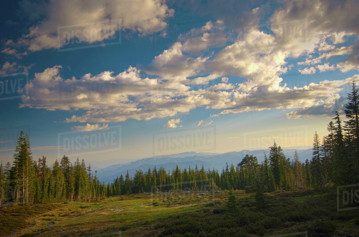 View of panther meadows on mount shasta at sunset;California united ...