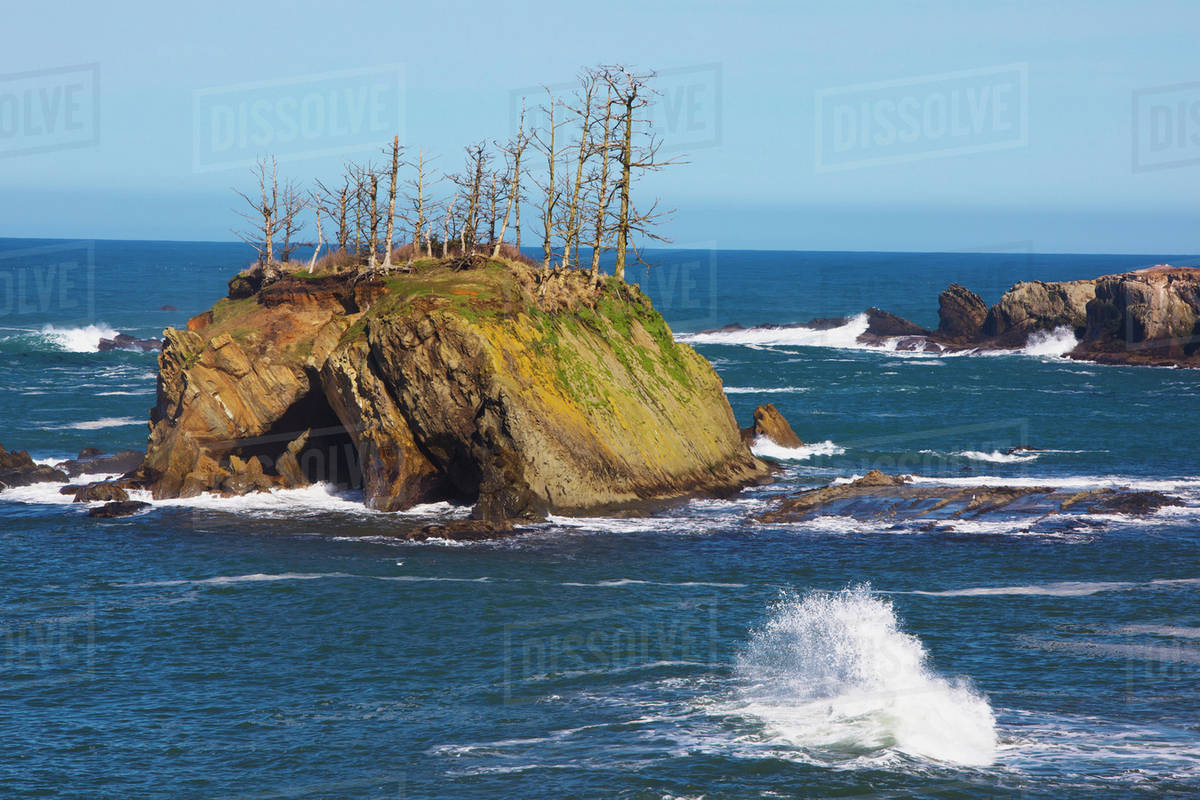 Rock formations at shore acres state park;Oregon united states of ...