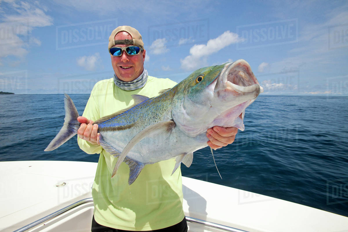 Man holds fresh caught jack fish; panama - Stock Photo - Dissolve