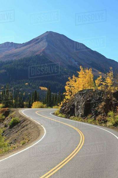 Curved Mountain Road With Autumn Aspens; Colorado, United States Of ...