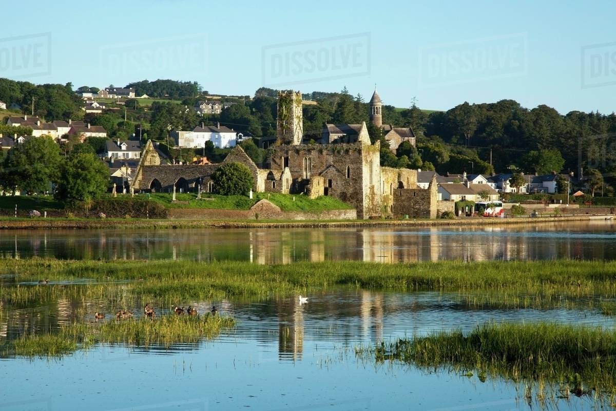 Ruins Of Waterfront Abbey; Timoleague, County Cork, Ireland - Stock ...