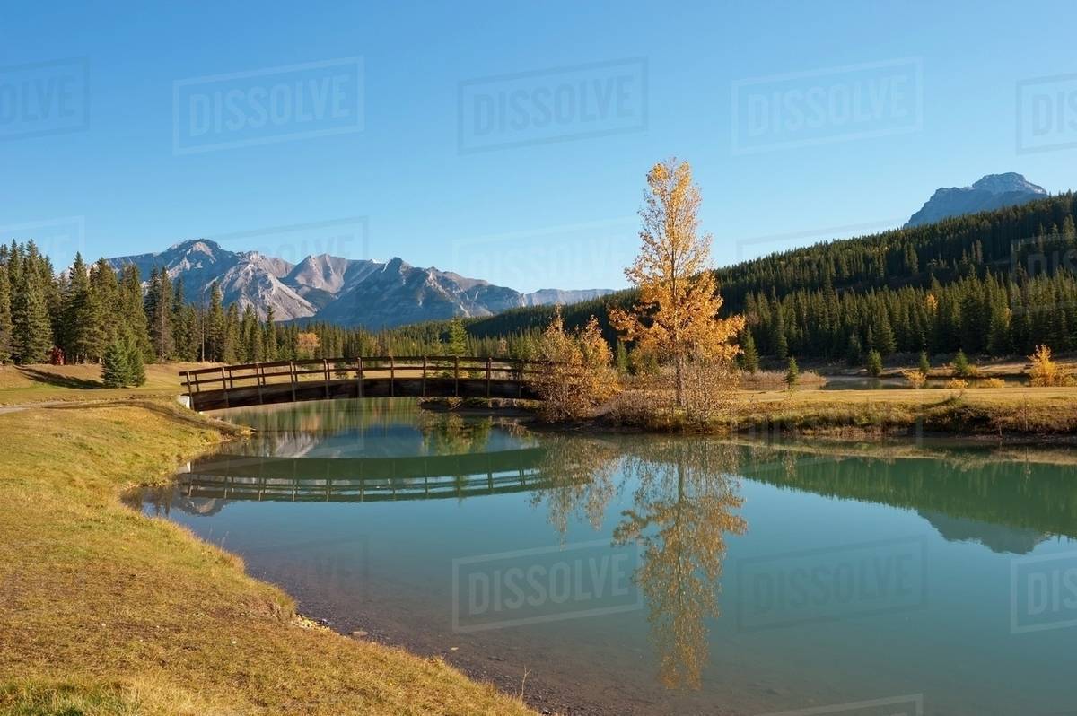 Footbridge At Cascade Ponds In Banff National Park; Banff, Alberta ...