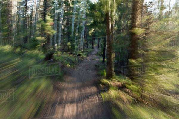 Motion Blur Effect With Forest Trail Gives A Feeling Of Speed And ...