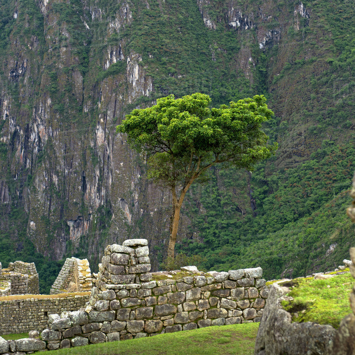 Stone Structures At Machu Picchu; Peru - Stock Photo - Dissolve