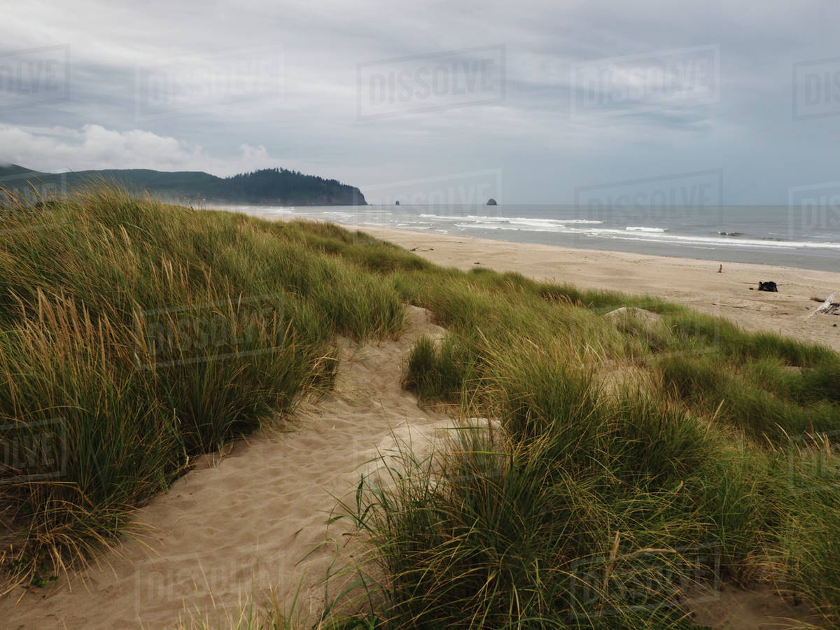 Path To Beach In Bayocean Peninsula County Park; Tillamook, Oregon, USA ...