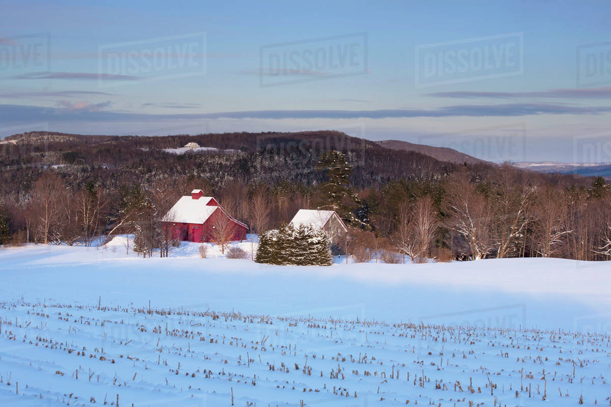 A Red Barn Shed And Field Covered In Snow In The Winter; North Hatley ...