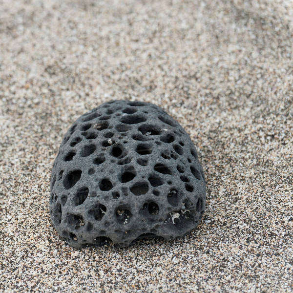 A Rock With Holes Through It Sitting On The Beach; Galapagos, Equador ...