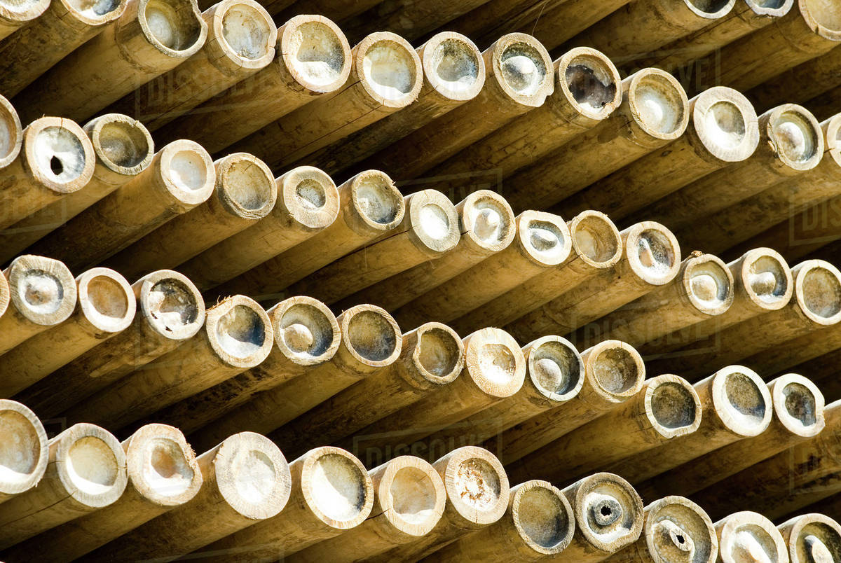 Bamboo sticks in a stack; Chiang Mai, Thailand - Royalty-free Stock ...