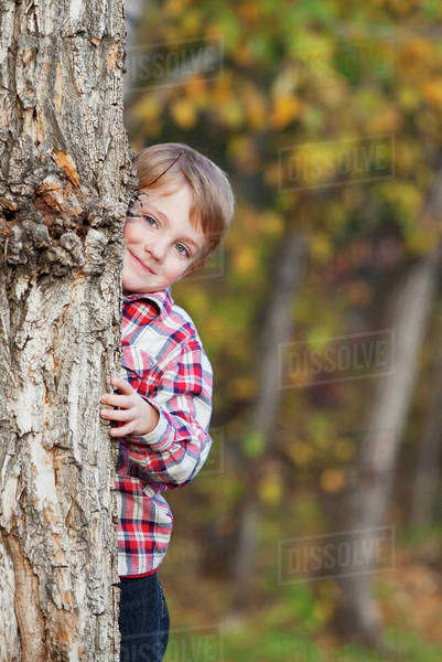 A Young Boy Hiding Behind A Tree In Autumn; Edmonton, Alberta, Canada ...