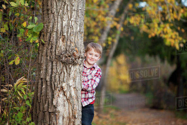 Young Boy Hiding Behind A Tree In A Park In Autumn; Edmonton, Alberta ...