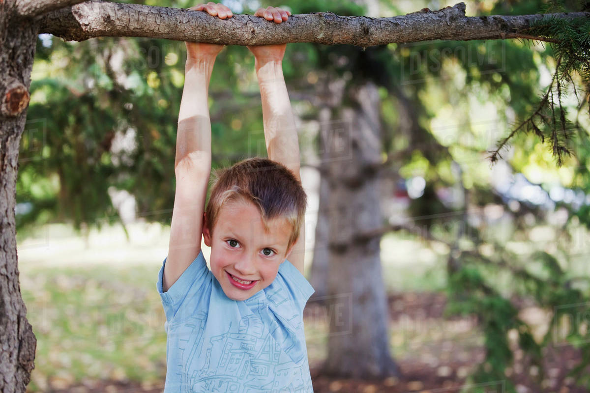 Young Boy Hanging From A Tree Limb In A Park In Autumn; Edmonton ...