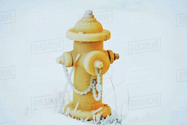 Willamette Valley, Oregon, United States Of America; A Fire Hydrant ...