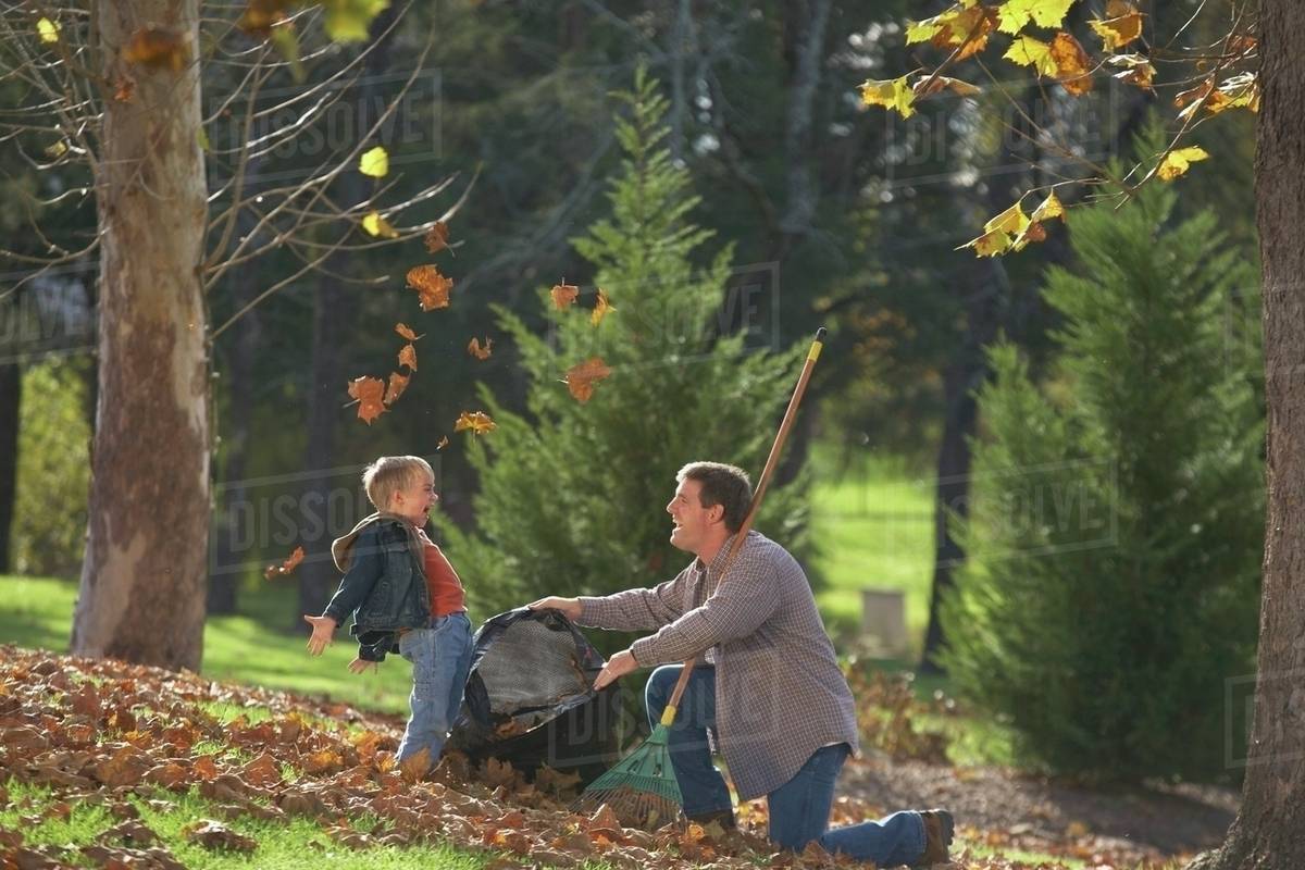 A Father And Son Bagging Leaves - Stock Photo - Dissolve