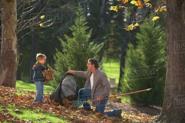 A Father And Son Bagging Leaves - Stock Photo - Dissolve