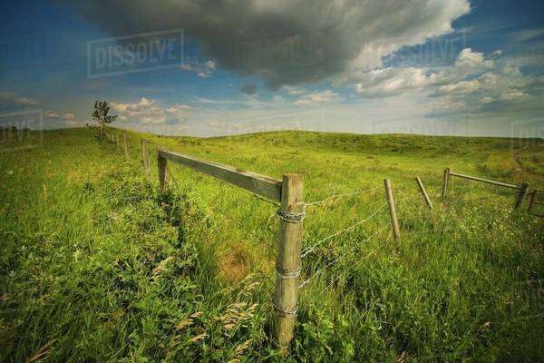 Morecambe, Alberta, Canada; A Fence In A Field - Royalty-free Stock ...