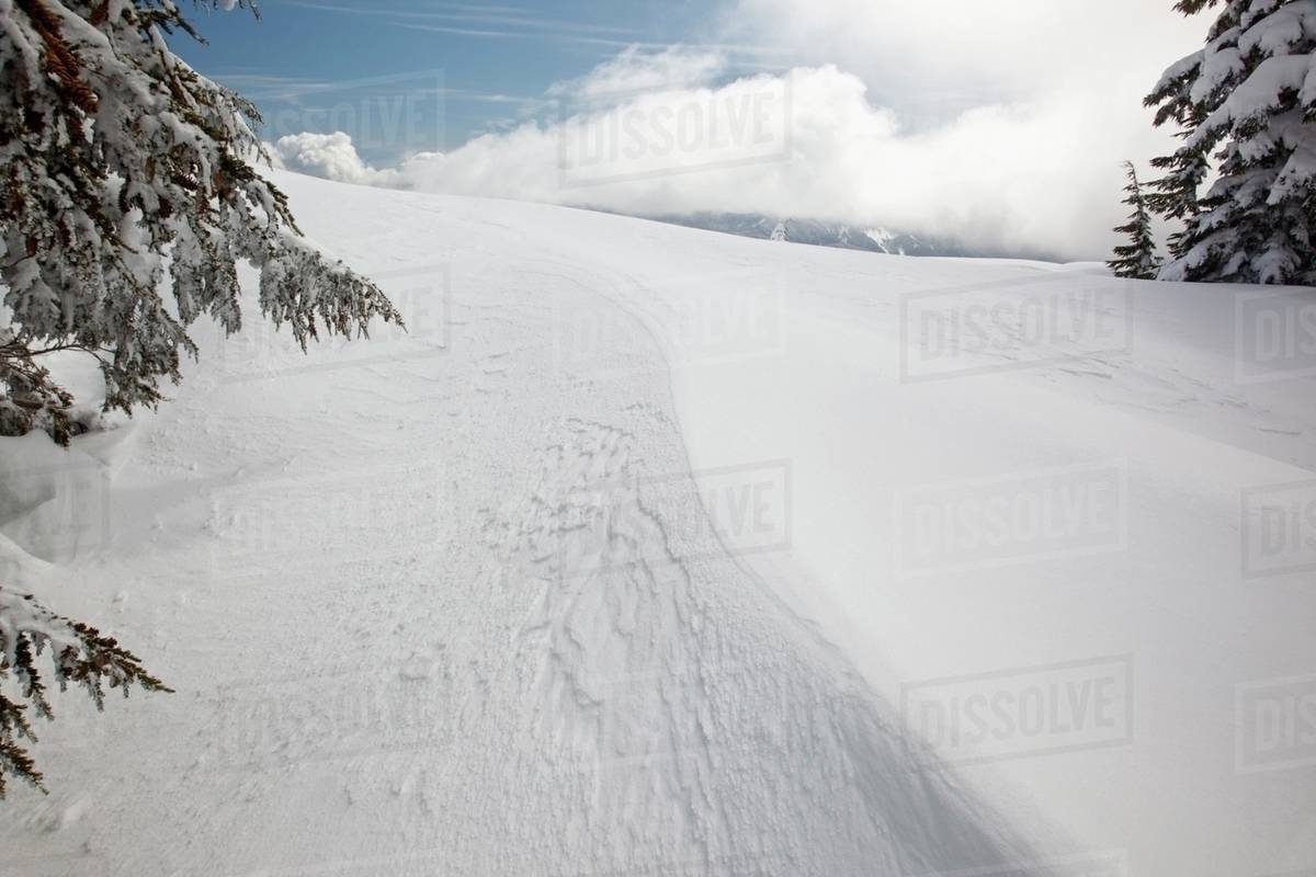 Timberline, Oregon Cascades, United States Of America; Snow On A Slope ...
