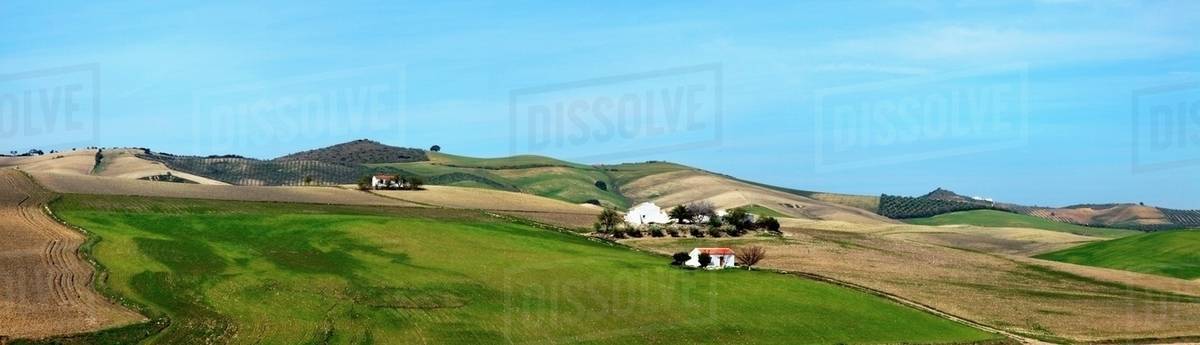Andalusia, Spain; A View Of The Typical Andalusian Landscape Near Arcos ...