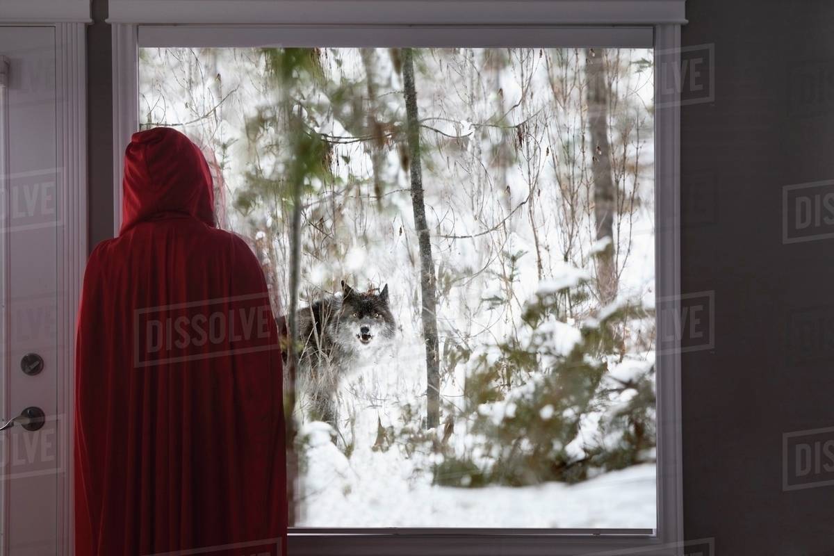 Little Red Riding Hood Looking Out Window At Big Bad Wolf; Edmonton ...