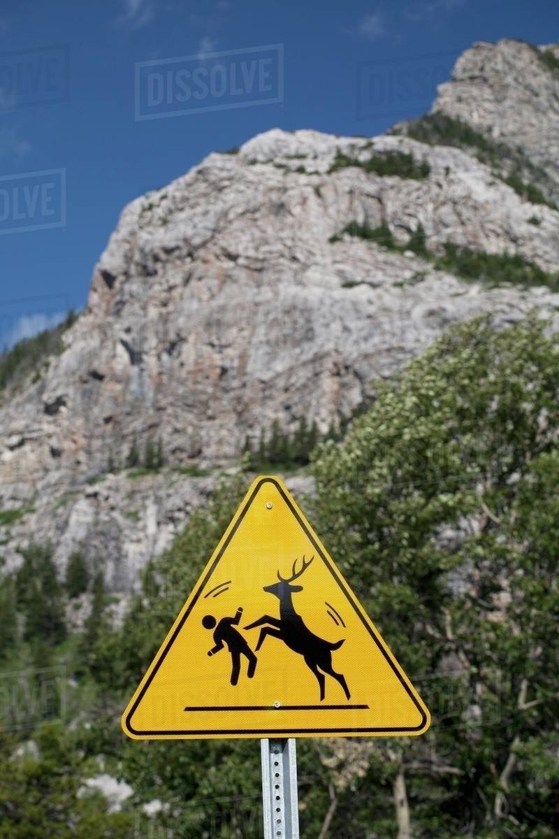 Road Sign Picturing Aggressive Deer With Mountains In The Background ...