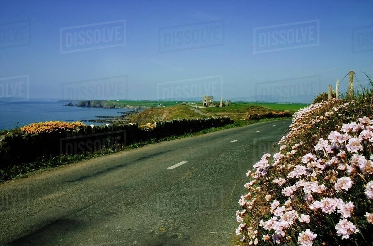 Coast Road And Sea Pink, Bunmahon, Co Waterford, Ireland - Royalty-free ...