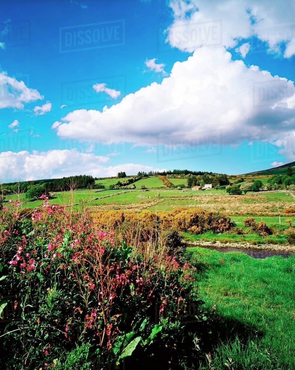 Countryside Near Sally Gap, Co Wicklow, Ireland - Stock Photo - Dissolve