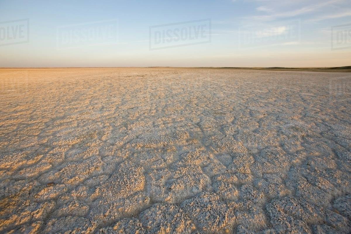 Dry Ground Reaching Into The Horizon - Stock Photo - Dissolve
