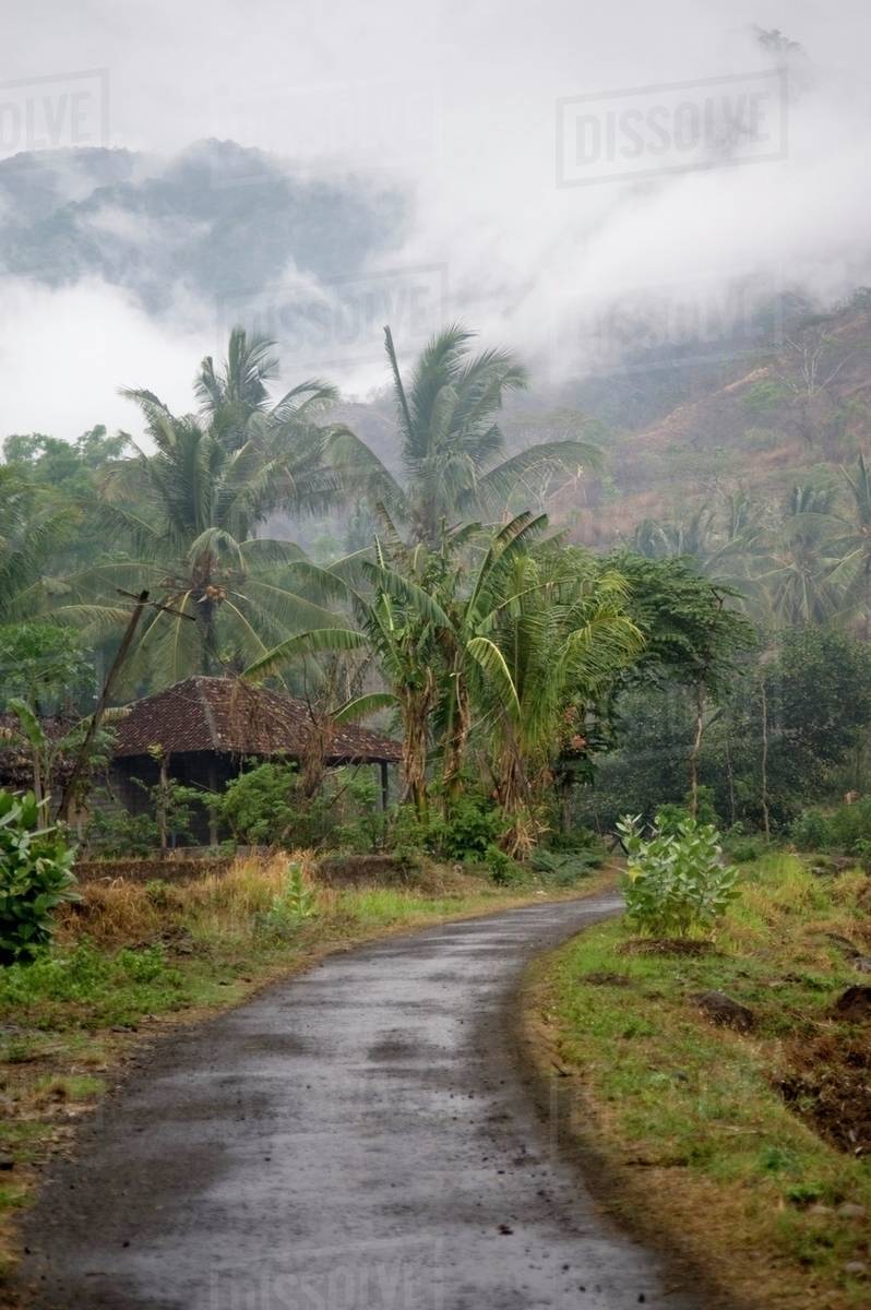 Bali, Indonesia; Rural Road - Royalty-free Stock Photo | Dissolve