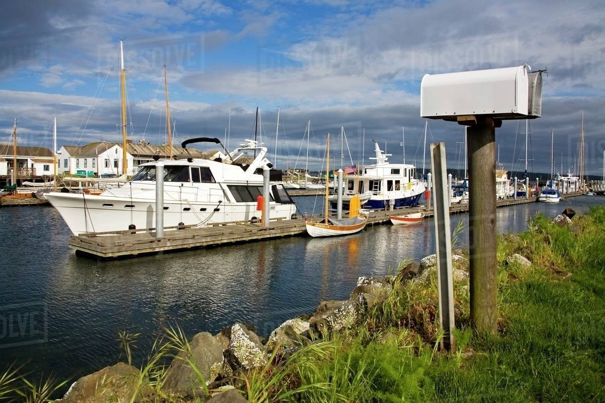 None - Stock Photo - Dissolve