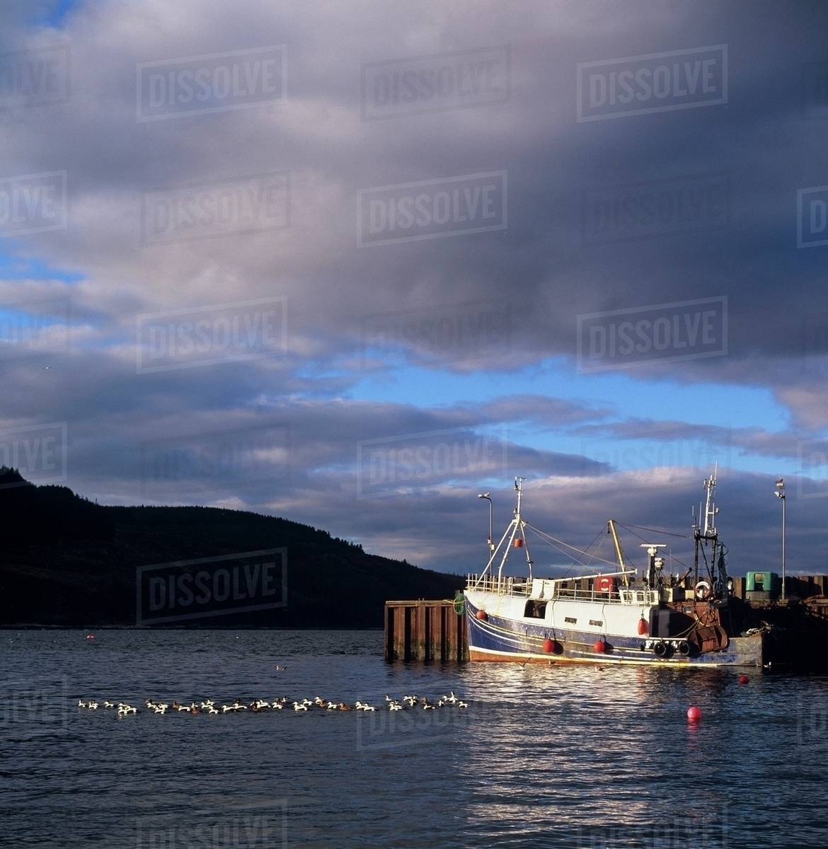Kintyre, Scotland; Fishing Boats In Carradale Harbour - Royalty-free ...