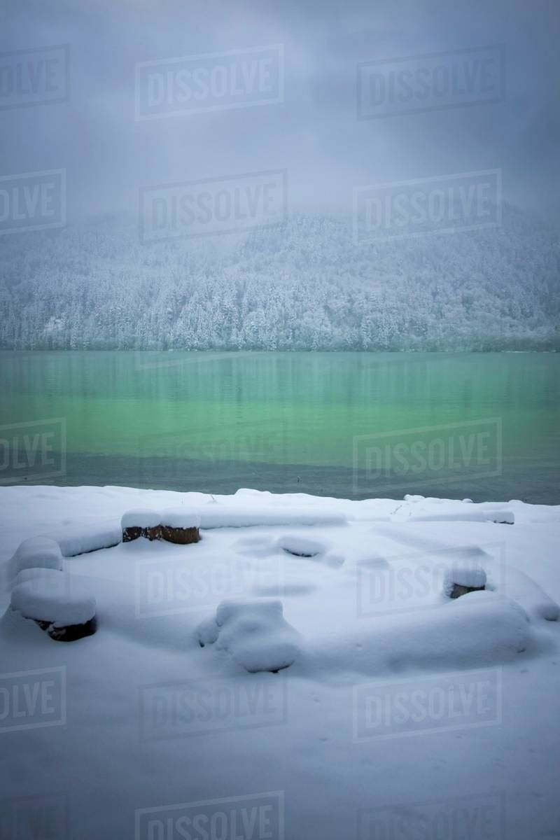 Fresh Snowfall - Royalty-free Stock Photo | Dissolve