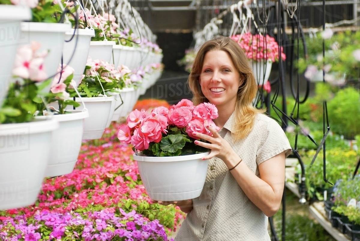 Woman Holding Flower Pot - Royalty-free Stock Photo | Dissolve