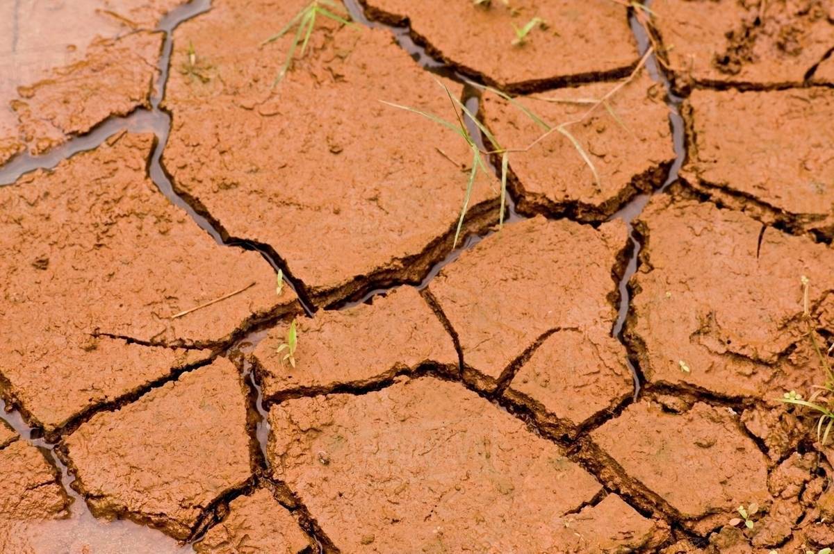 Cracked Earth Wet With Rain - Royalty-free Stock Photo | Dissolve